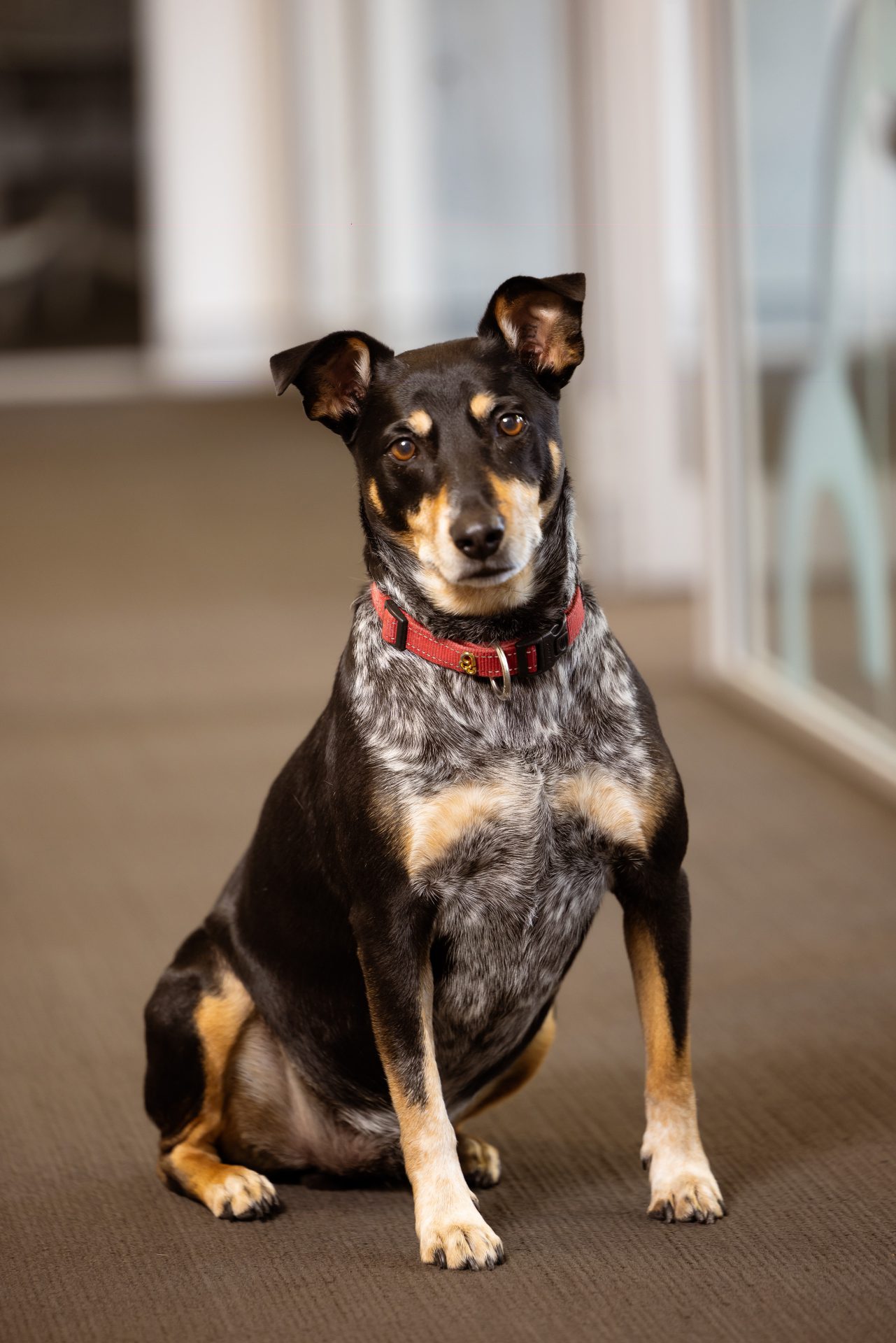 Cloud Solutions Australia | CorpCloud